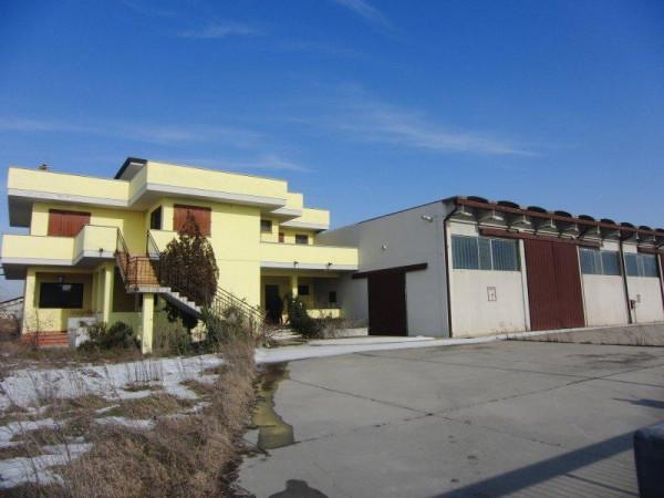 Capannone in vendita a Ariano Nel Polesine