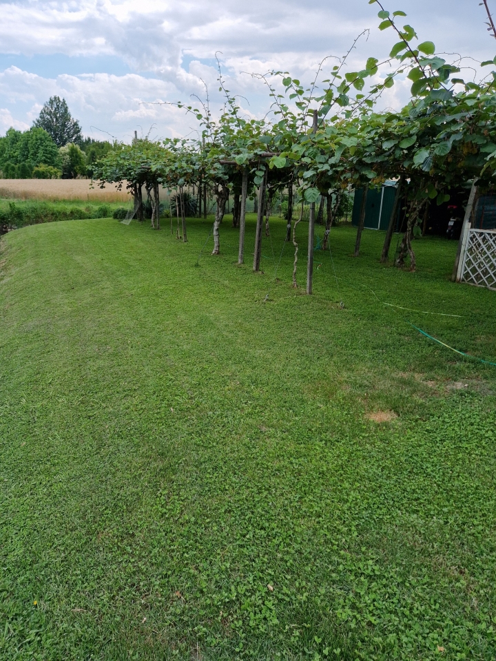 Villa a schiera in vendita a Belfiore