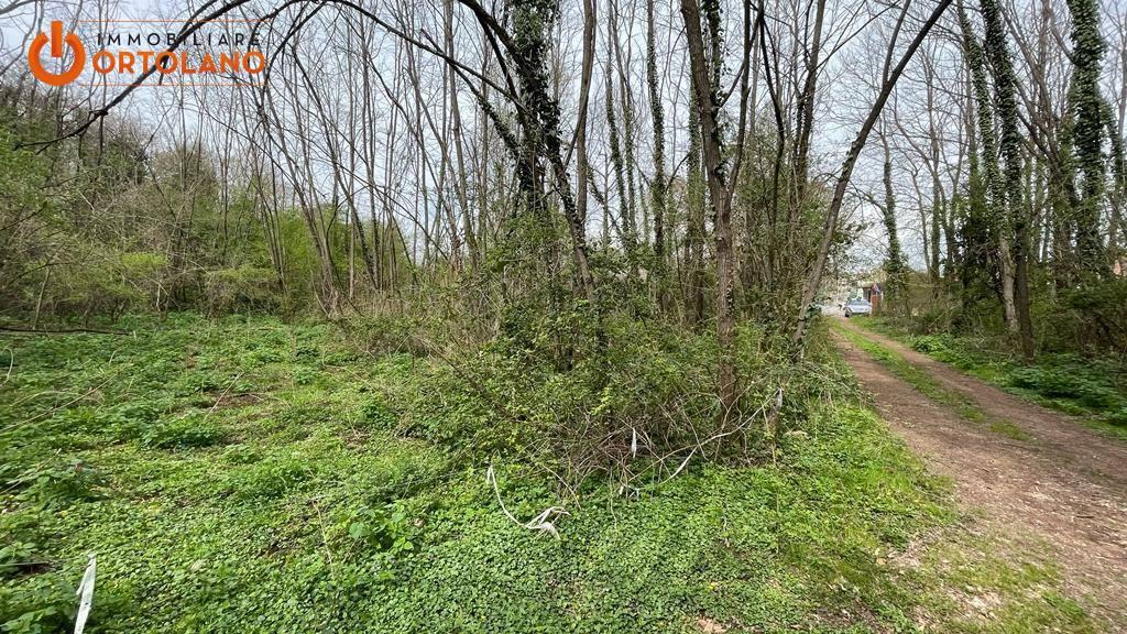 Terreno edificabile in vendita a Sagrado