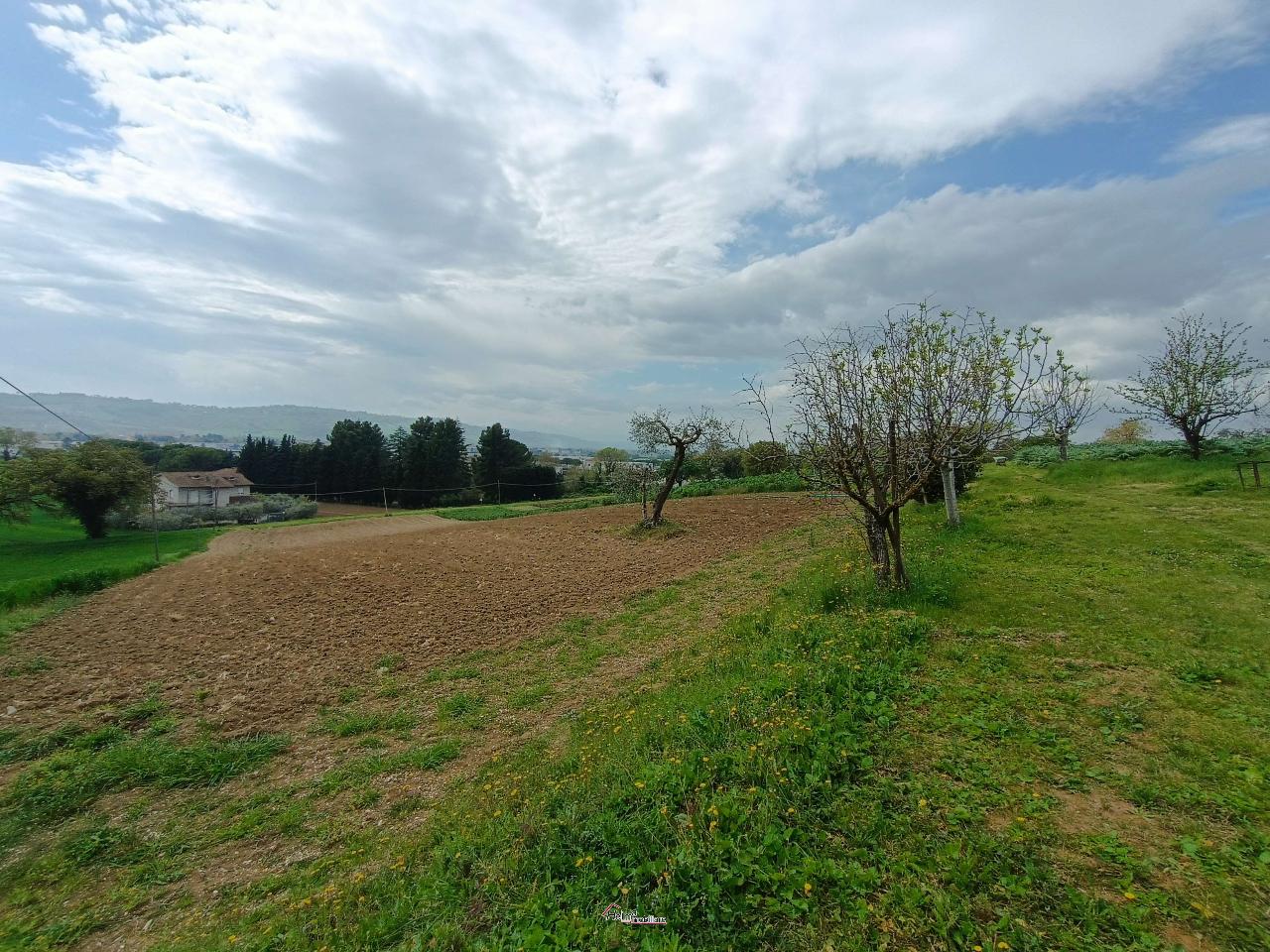 Terreno agricolo in vendita a Montecassiano