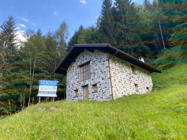 Baita in vendita a Primiero San Martino di Castrozza