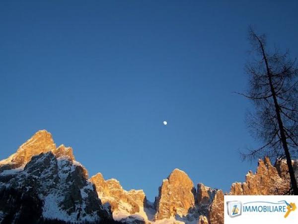 Negozio in vendita a Primiero San Martino di Castrozza
