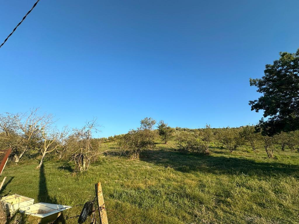 Terreno agricolo in vendita a Mentana