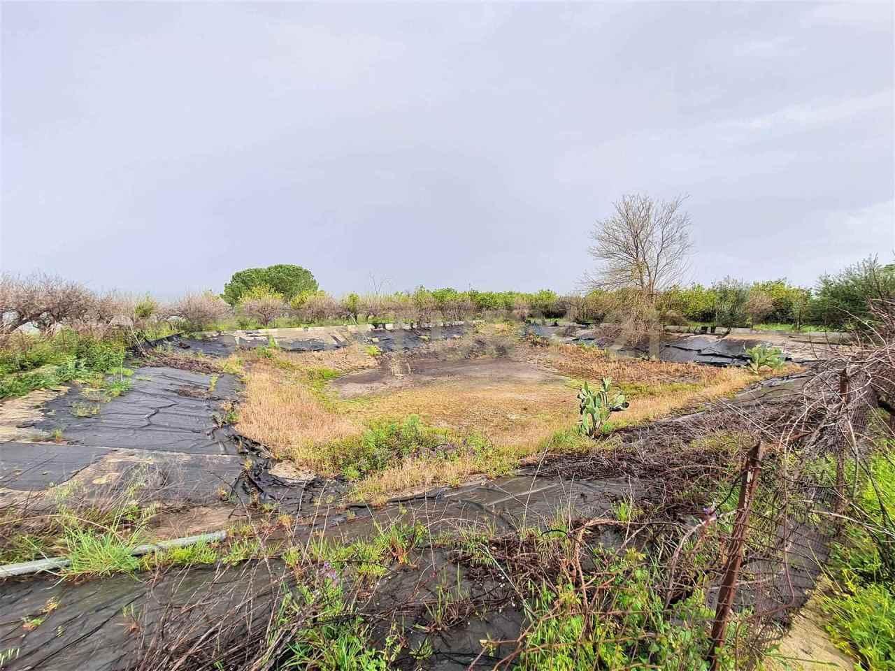 Terreno agricolo in vendita a Mineo