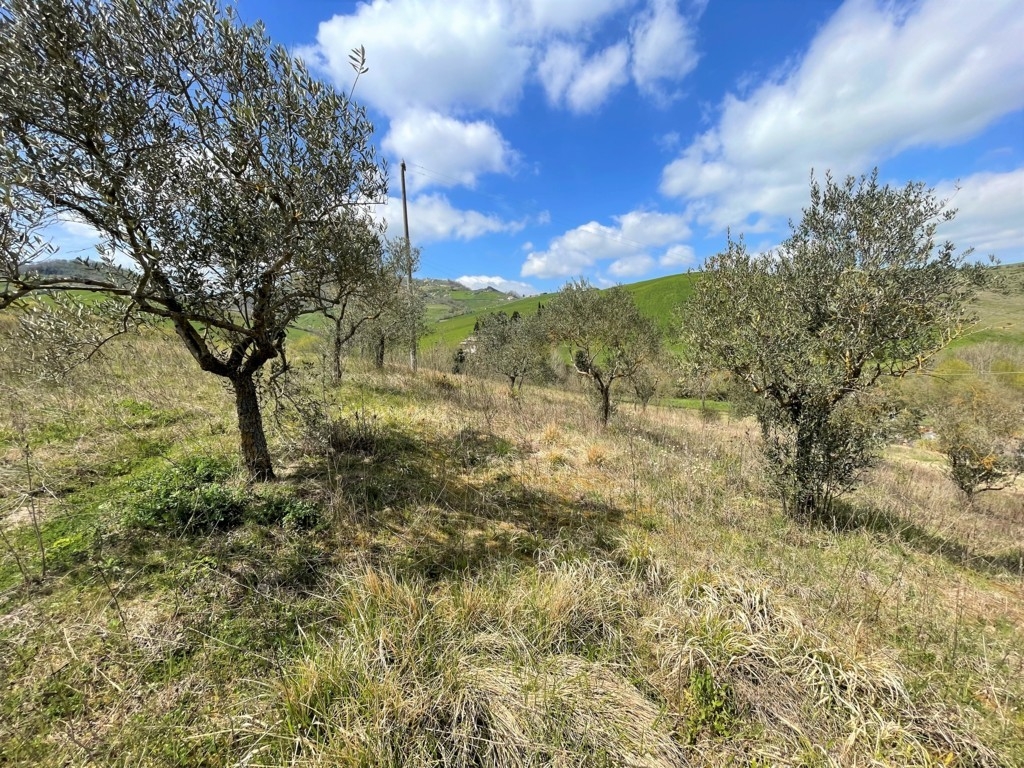 Terreno agricolo in vendita a Ariano Irpino