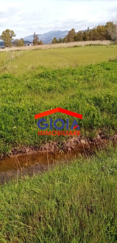 Terreno agricolo in vendita a Sessa Aurunca