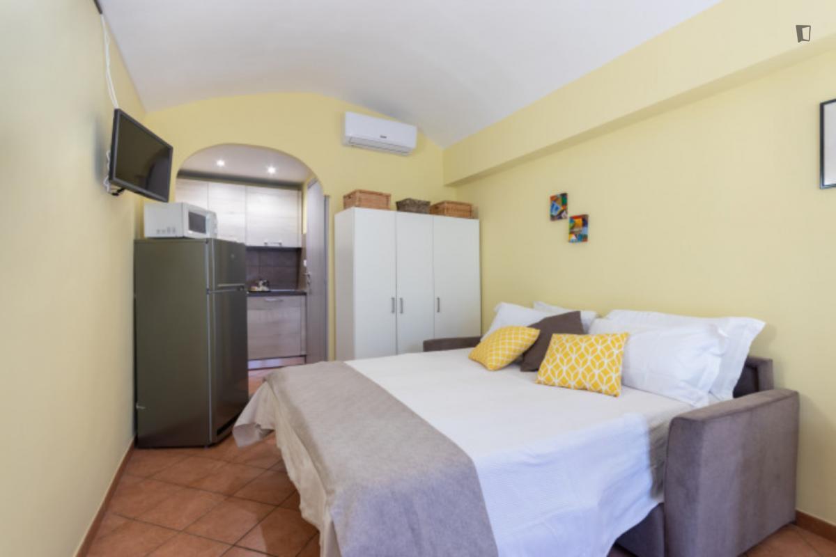 Loft in affitto a Torino