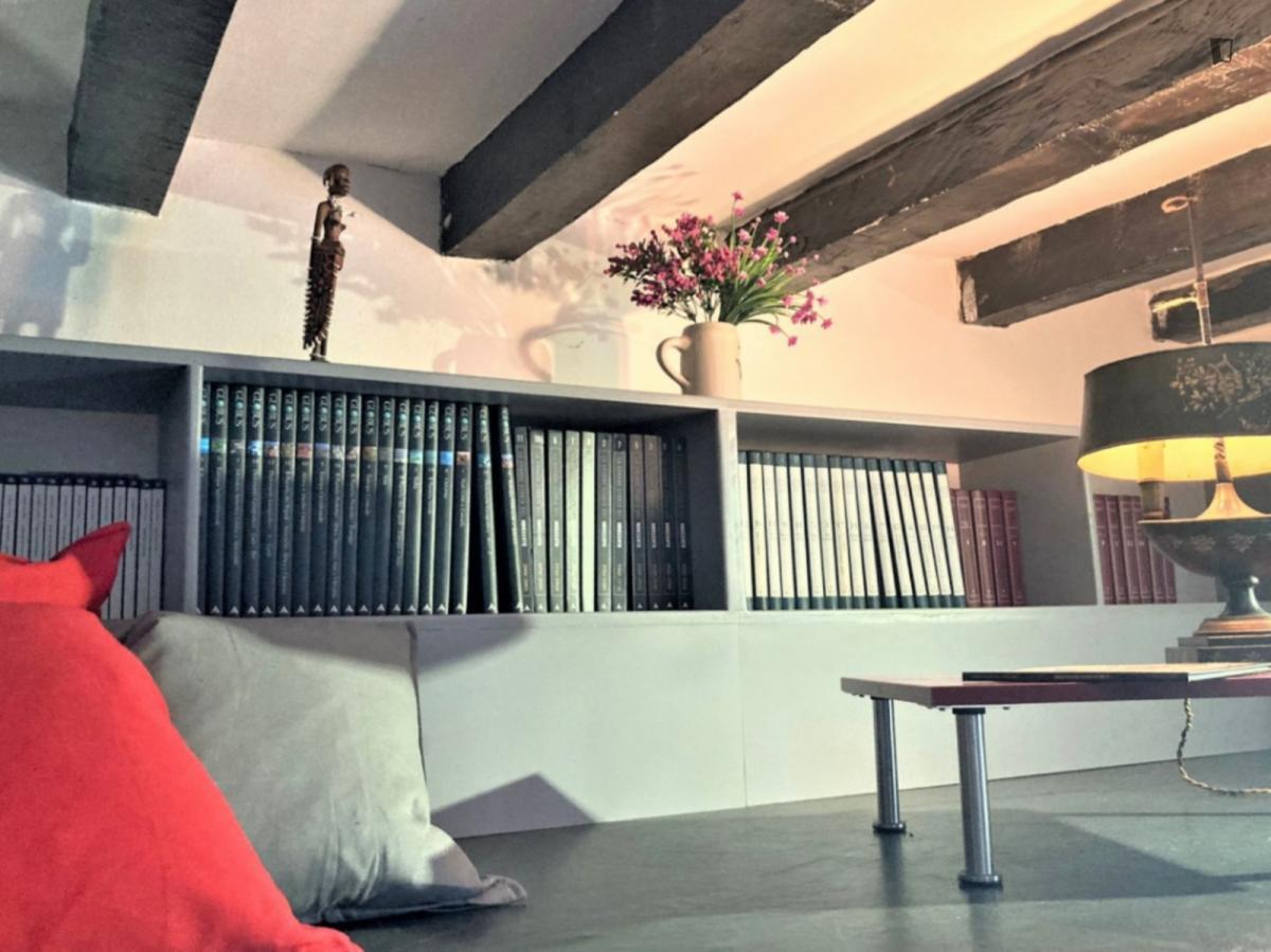 Loft in affitto a Milano