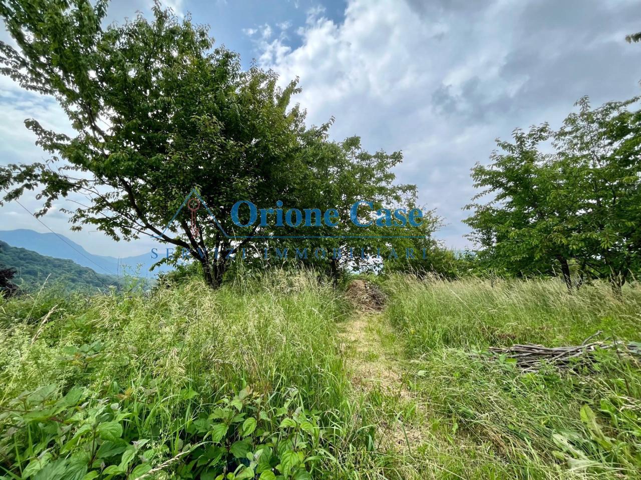 Terreno edificabile in vendita a Valganna