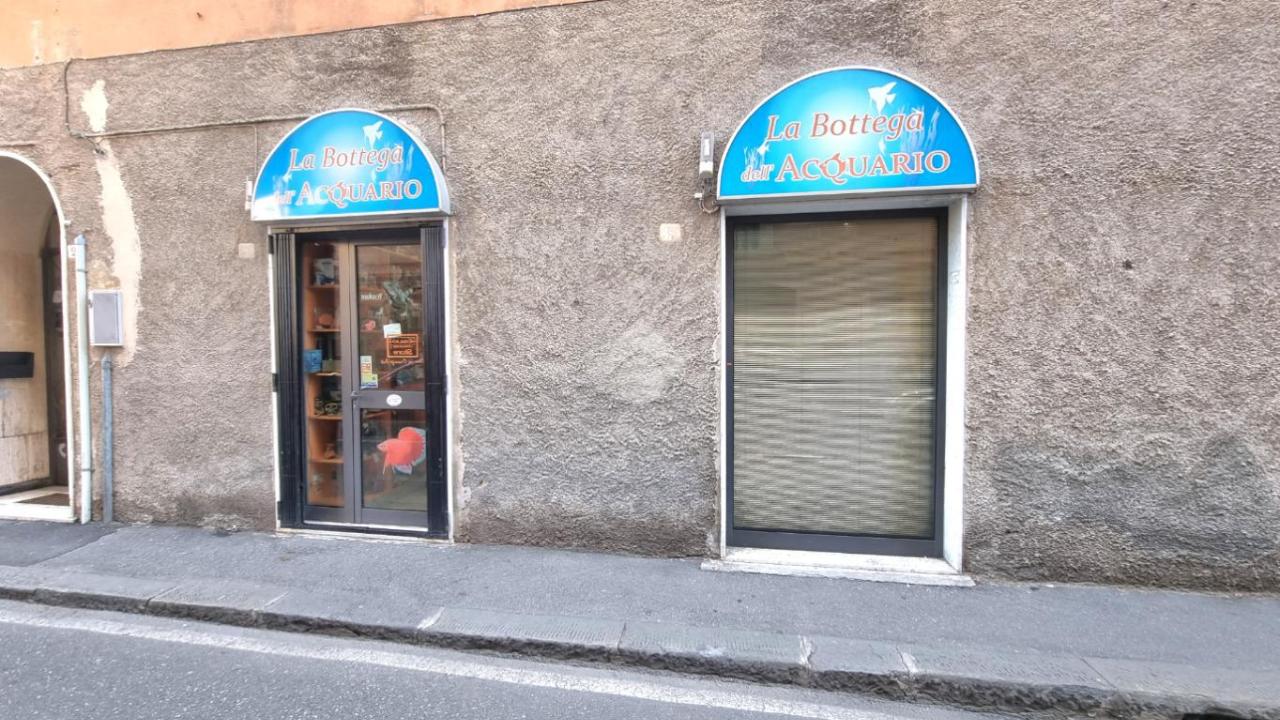 Negozio in vendita a Genova