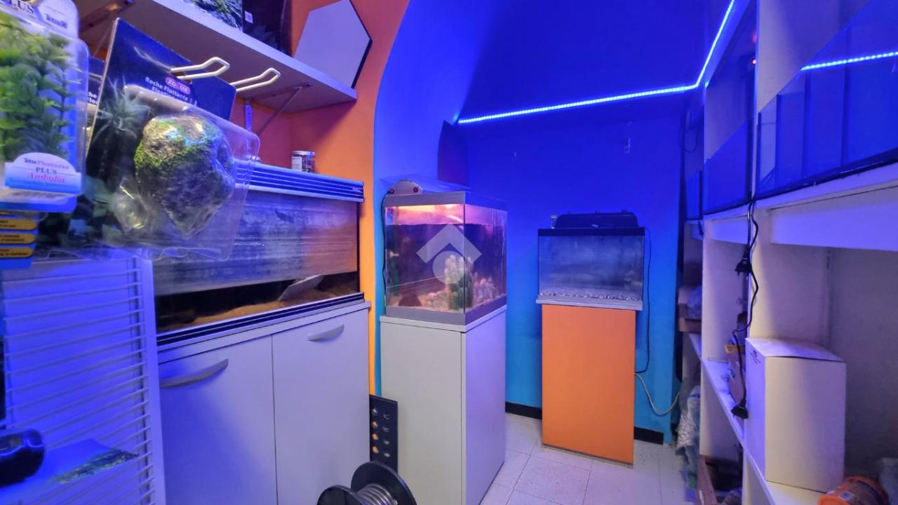 Negozio in vendita a Genova Foto-3