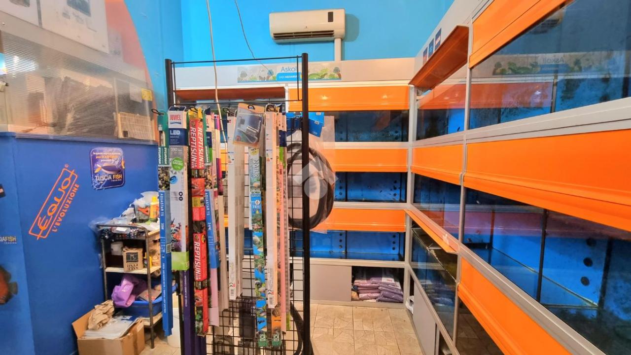 Negozio in vendita a Genova Foto-12