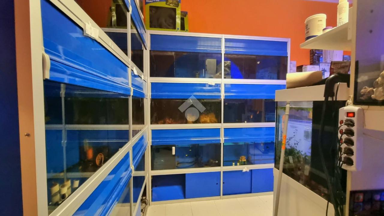 Negozio in vendita a Genova Foto-4