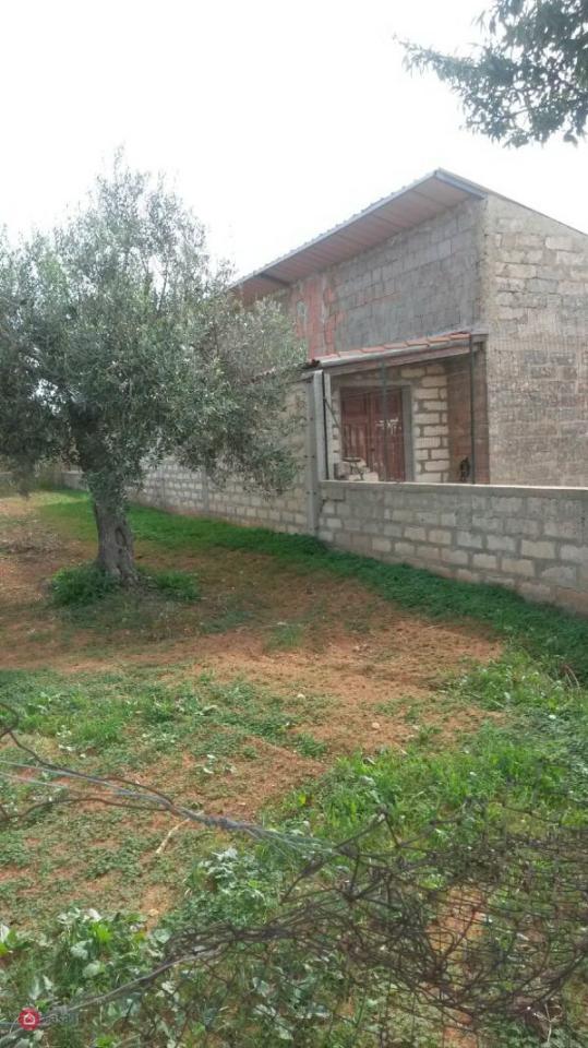 Terreno agricolo in vendita a Niscemi