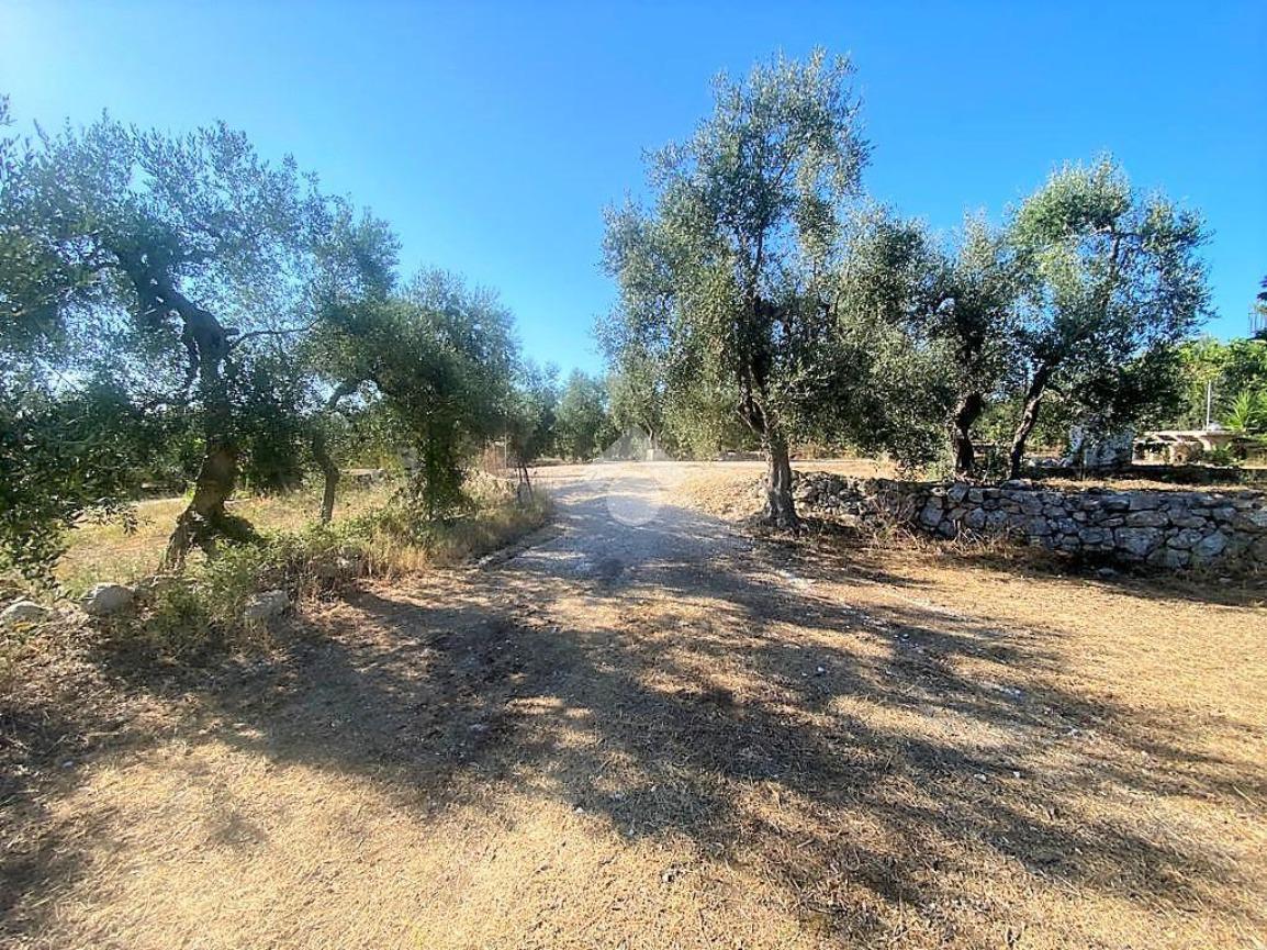 Terreno agricolo in vendita a Molfetta
