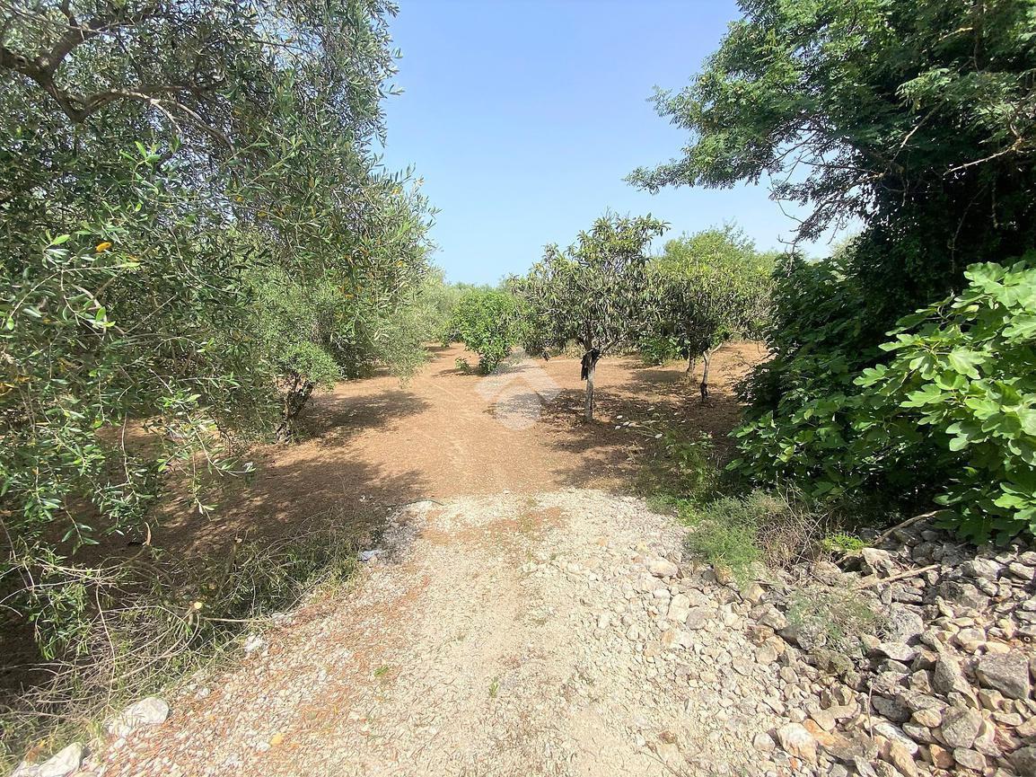 Terreno edificabile in vendita a Molfetta