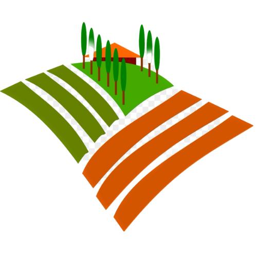 Terreno agricolo in vendita a Latina