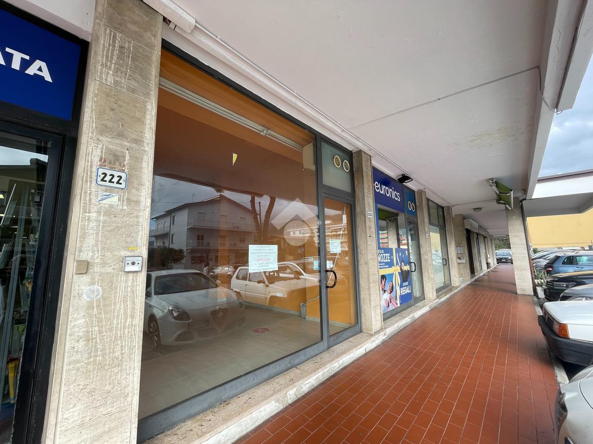 Negozio in affitto a Massa