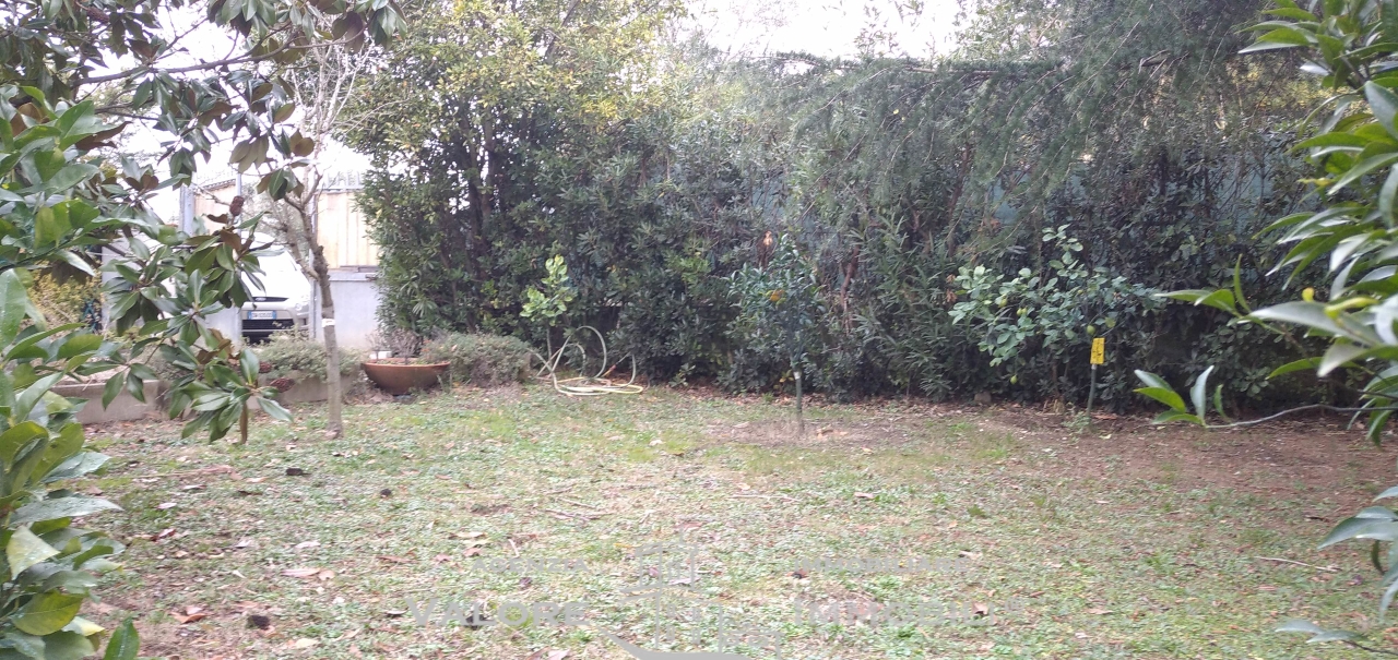 Terreno agricolo in vendita a Livorno