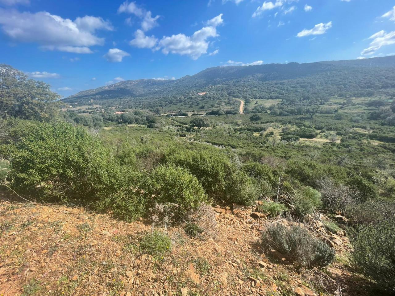 Terreno edificabile residenziale in vendita a Loiri Porto San Paolo