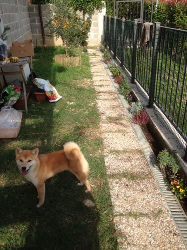 Appartamento in vendita a Arrone