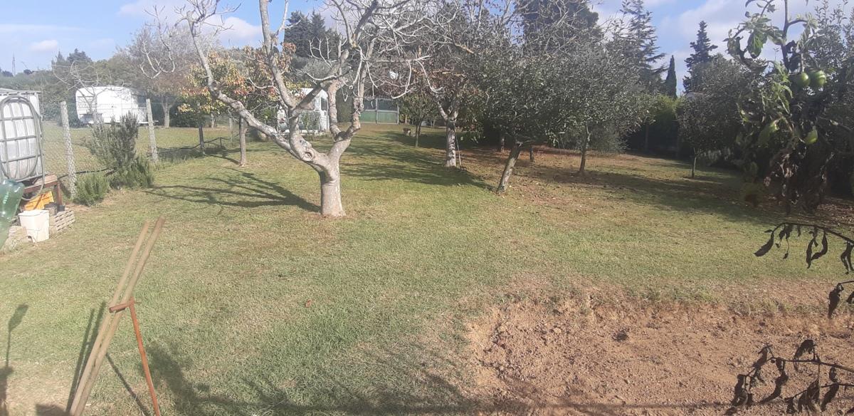 Terreno agricolo in vendita a Livorno