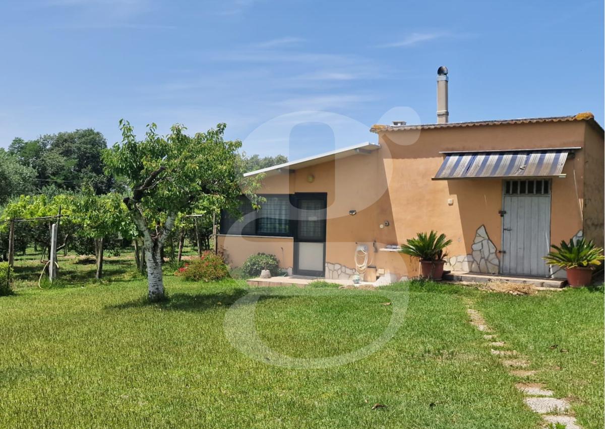 Magazzino in vendita a Nettuno