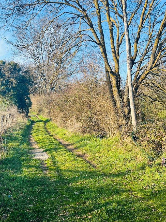 Terreno edificabile in vendita a Oriolo Romano