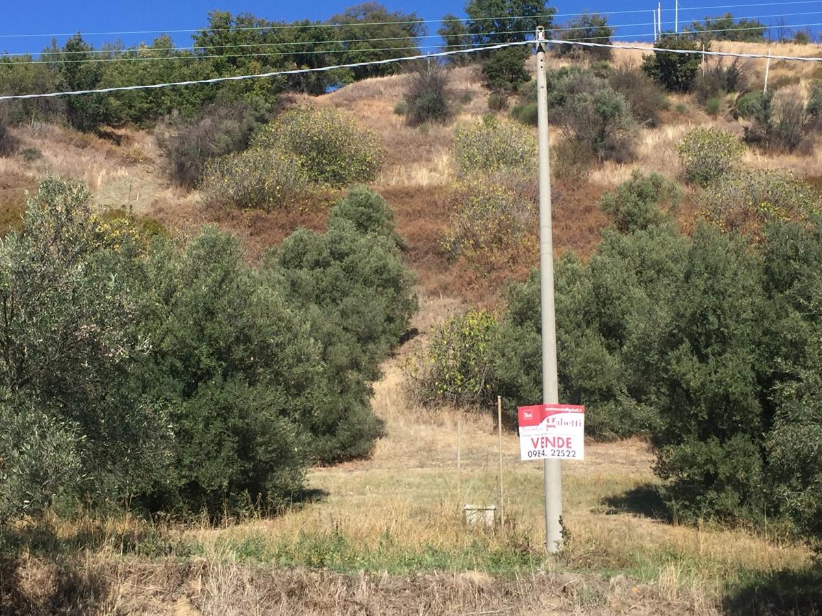 Terreno agricolo in vendita a Montalto Uffugo
