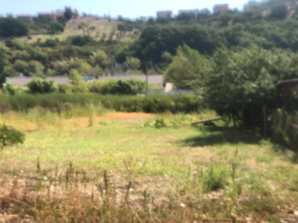 Terreno agricolo in Strada Provinciale 234 , Zumpano