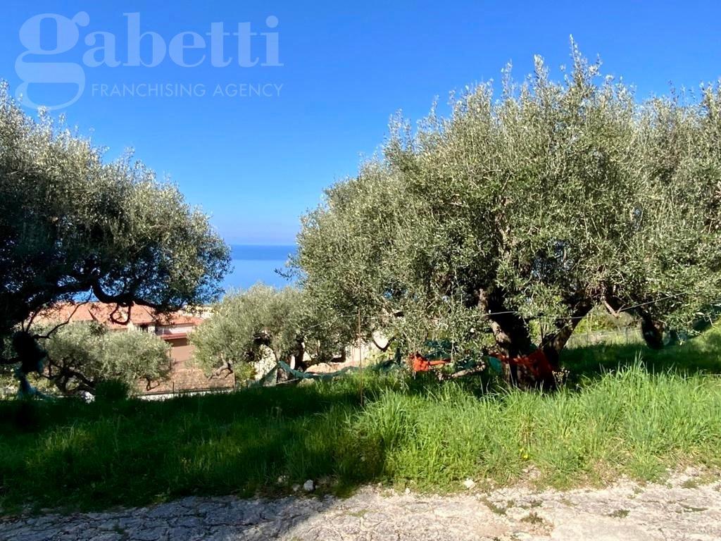Terreno agricolo in Via Tempa delle Rose ., Ascea