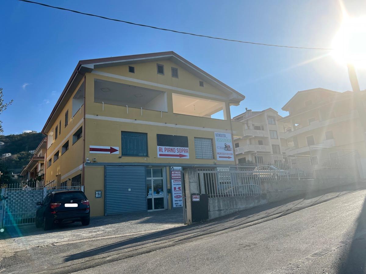 Negozio in vendita a Longobardi