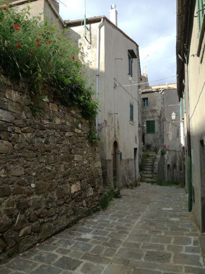 Appartamento in vendita a Arcidosso