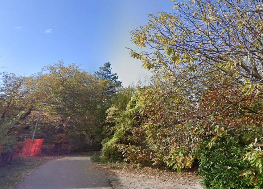 Appartamento in vendita a Santa Fiora