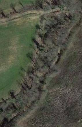 Terreno agricolo in vendita a Civitella Paganico