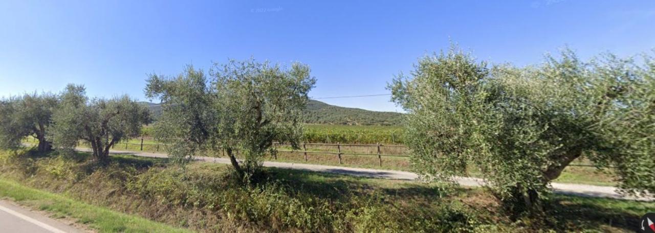 Terreno agricolo in vendita a Grosseto
