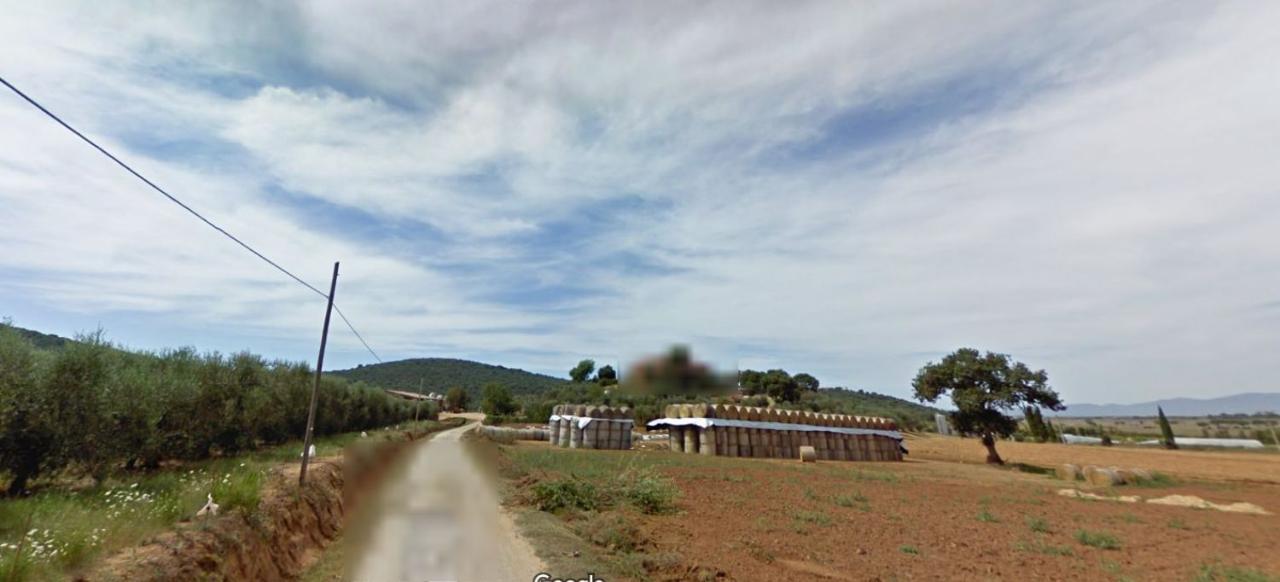 Azienda agricola in vendita a Grosseto
