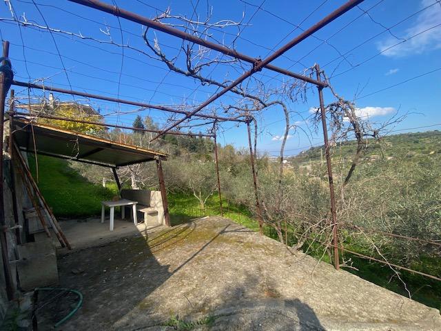 Terreno agricolo in Contrada Sant'Anna Snc, Barcellona Pozzo di Gotto Foto-4