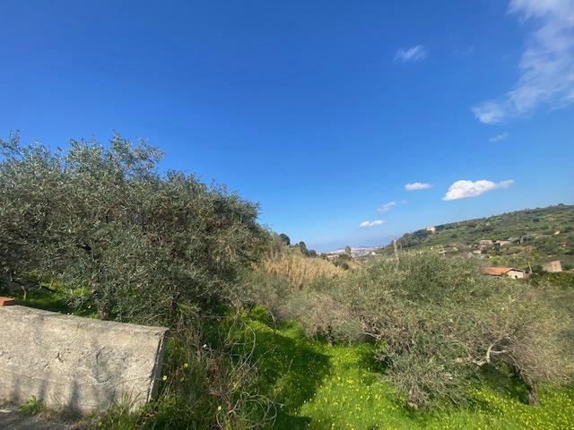 Terreno agricolo in Contrada Sant'Anna Snc, Barcellona Pozzo di Gotto Foto-5