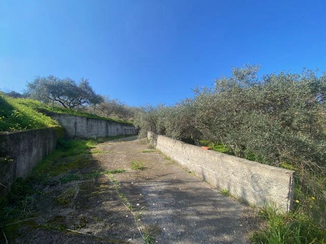 Terreno agricolo in Contrada Sant'Anna Snc, Barcellona Pozzo di Gotto Foto-6