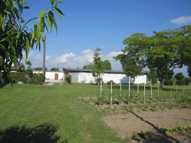 Capannone in vendita a Adria