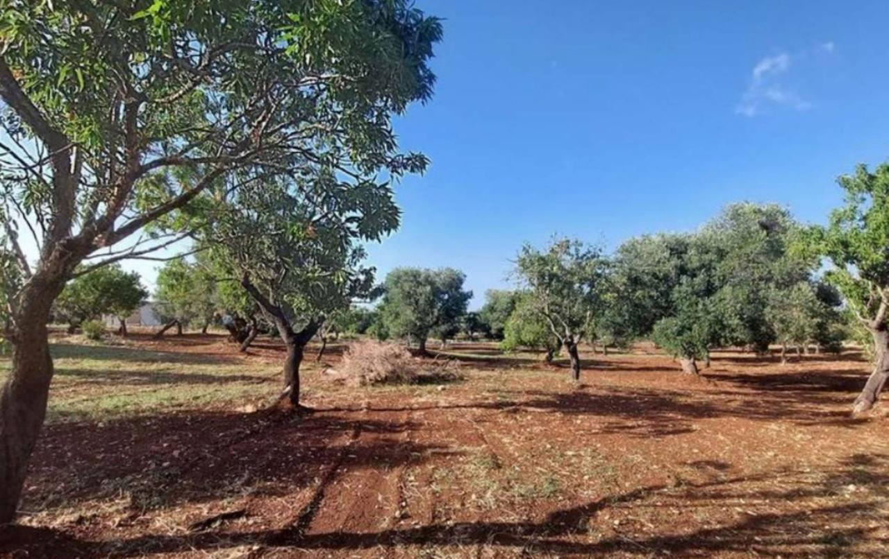 Terreno edificabile in vendita a Carovigno