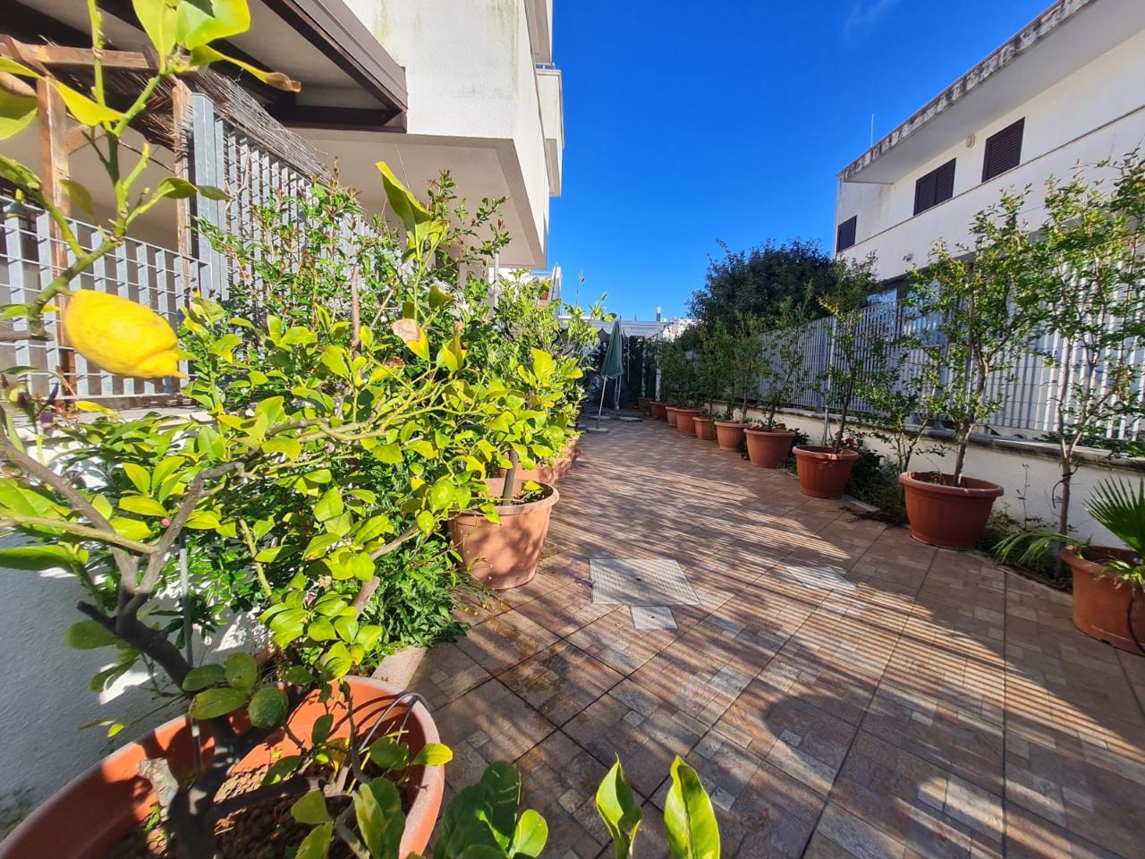 Casa indipendente in vendita a Carovigno