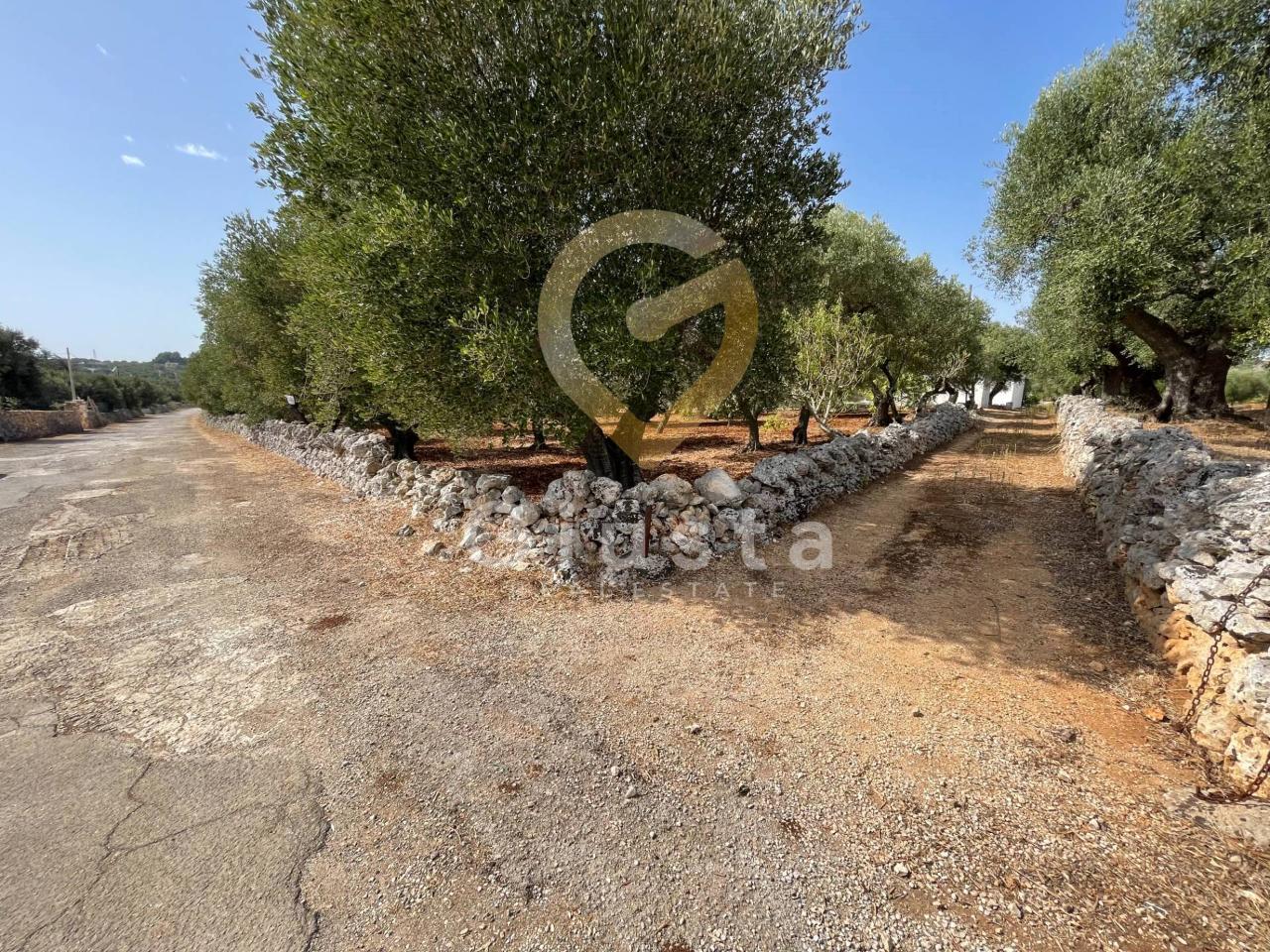 Terreno agricolo in vendita a Ostuni