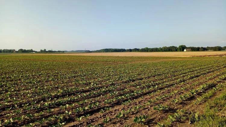 Terreno edificabile residenziale in vendita a Ciserano