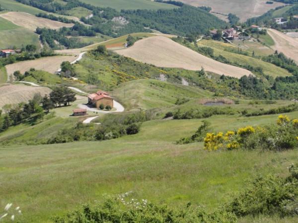 Rustico in vendita a Casalfiumanese