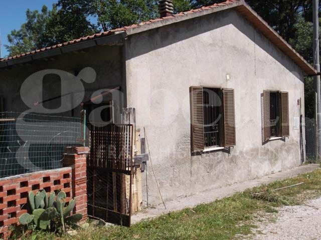 Casa indipendente in vendita a Gavorrano