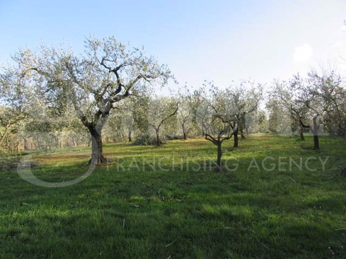 Terreno agricolo in vendita a Gavorrano