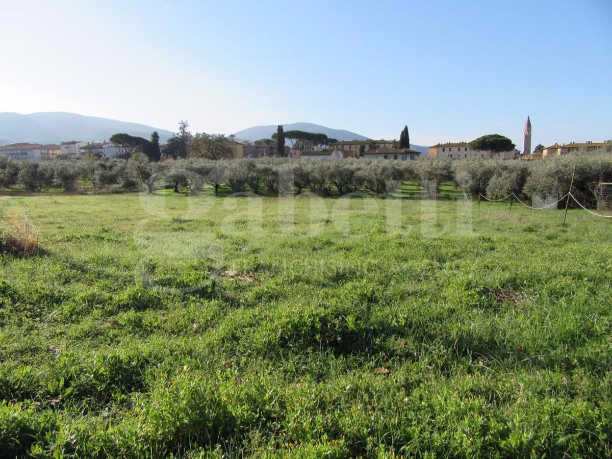 Terreno agricolo in vendita a Gavorrano