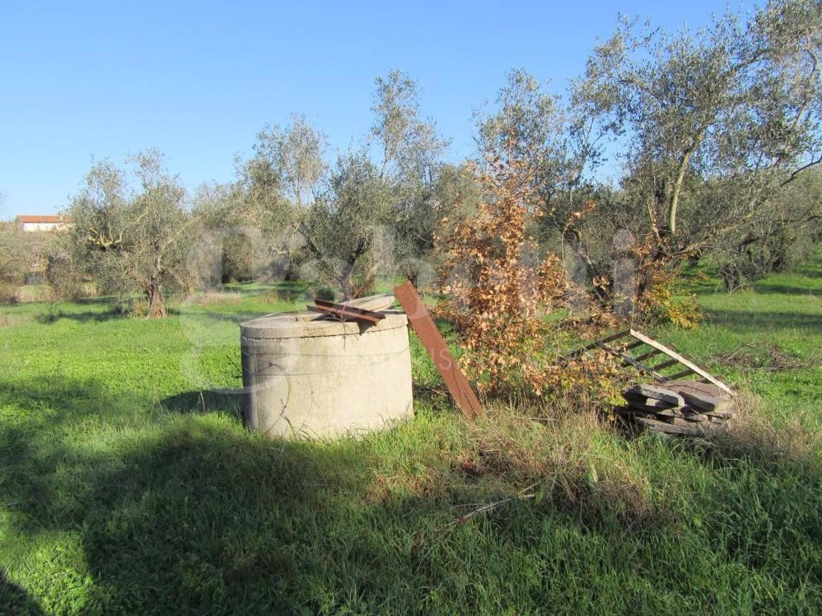 Terreno agricolo in vendita a Gavorrano